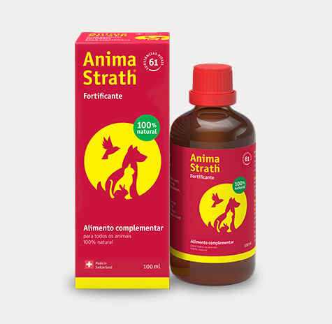 Anima Strath Elixir 128g 100ml - Nossa Farmácia - A sua farmácia online ...